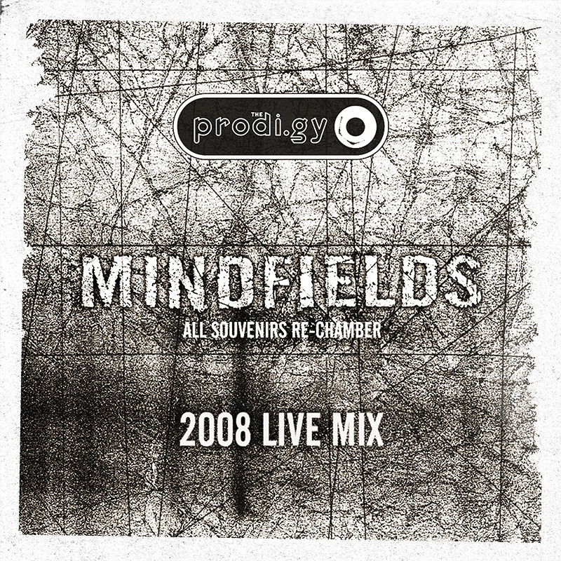 #RLRW: Mindfields (2008 Live Mix) - theprodi.gy